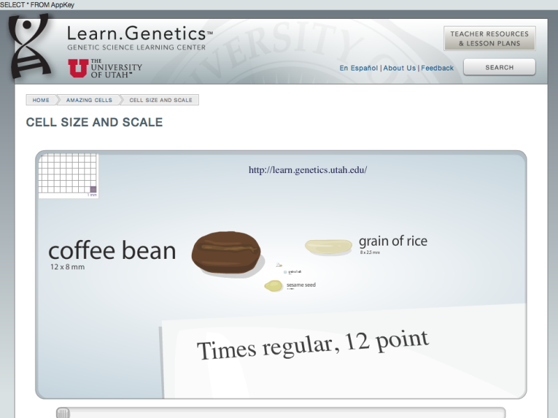Cell Size and Scale - MathsLinks