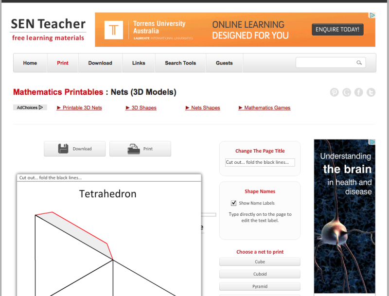 Nets (3D Models) : Free Printables - MathsLinks