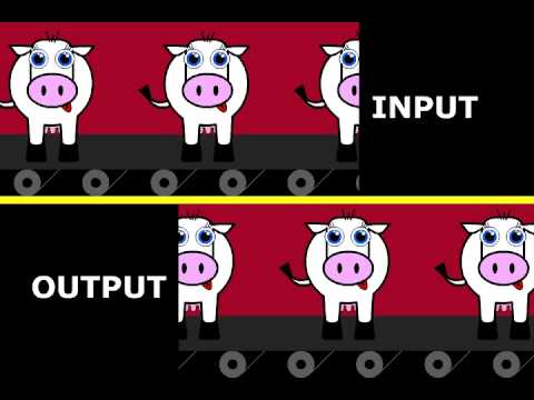Meat-A-Morphosis: An Introduction to Functions - MathsLinks